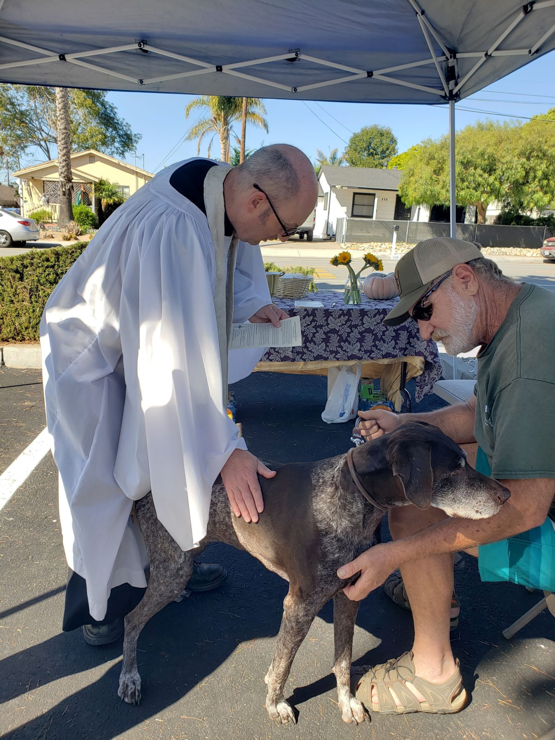 St. Francis Day Blessing of the Animals – Christ the King Anglican Church